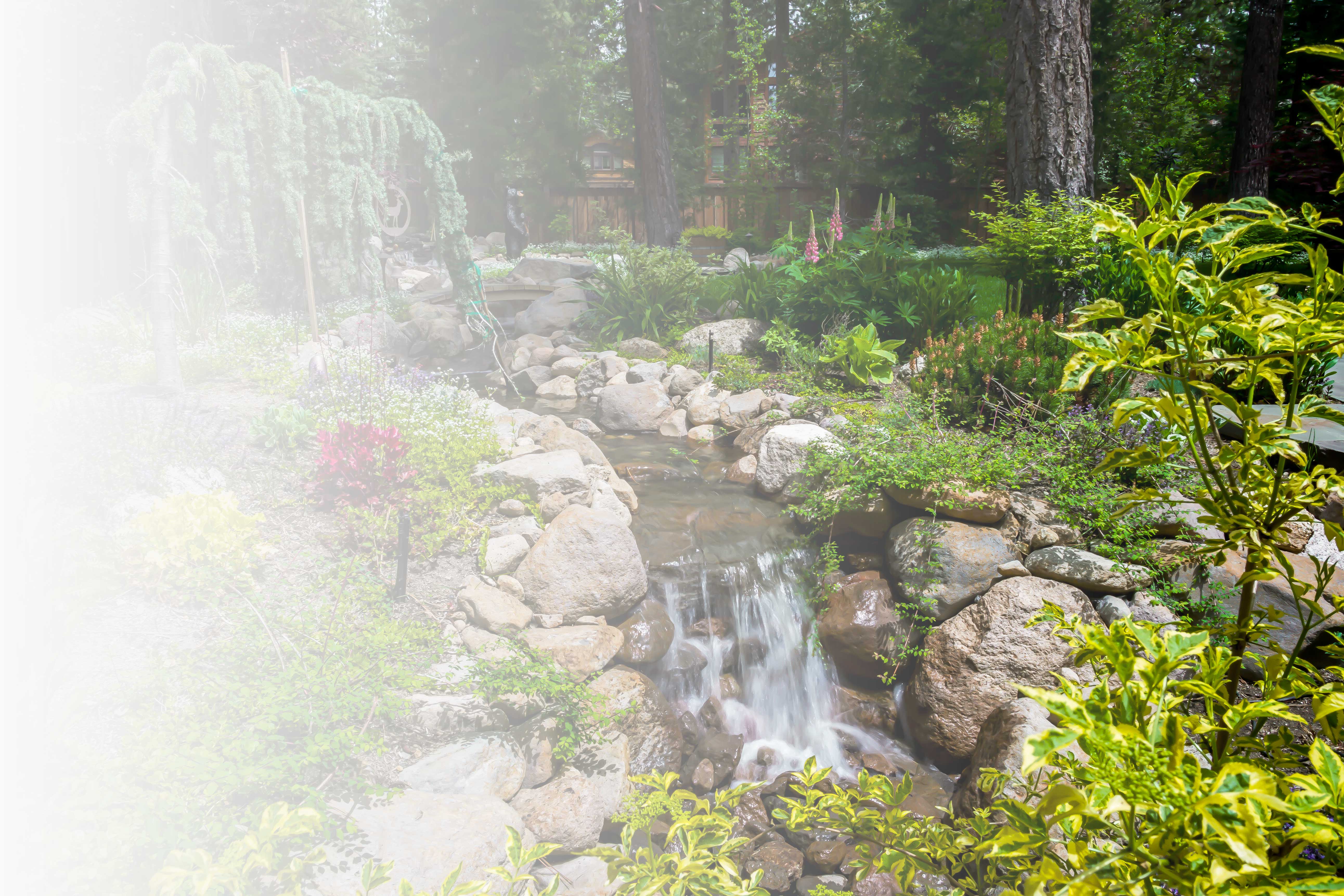 Wichita LandscapeSteeles-Landscapes-Wichita-Kansas - Wichita Landscape